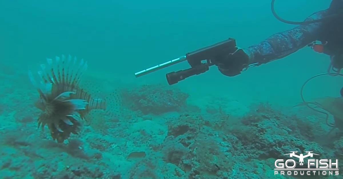 "Extreme Outdoorsman" Introduces Invasive Lionfish to a Glock 17
