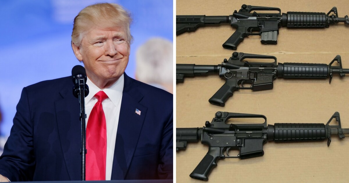 Developing: Trump Backs Taking Guns From 'Mentally Ill' Before Due Process