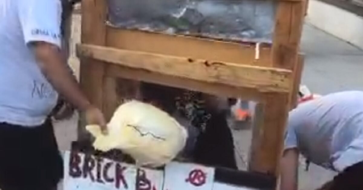 Abolish ICE Activists Bring Makeshift Guillotine to Protest, Depict ...