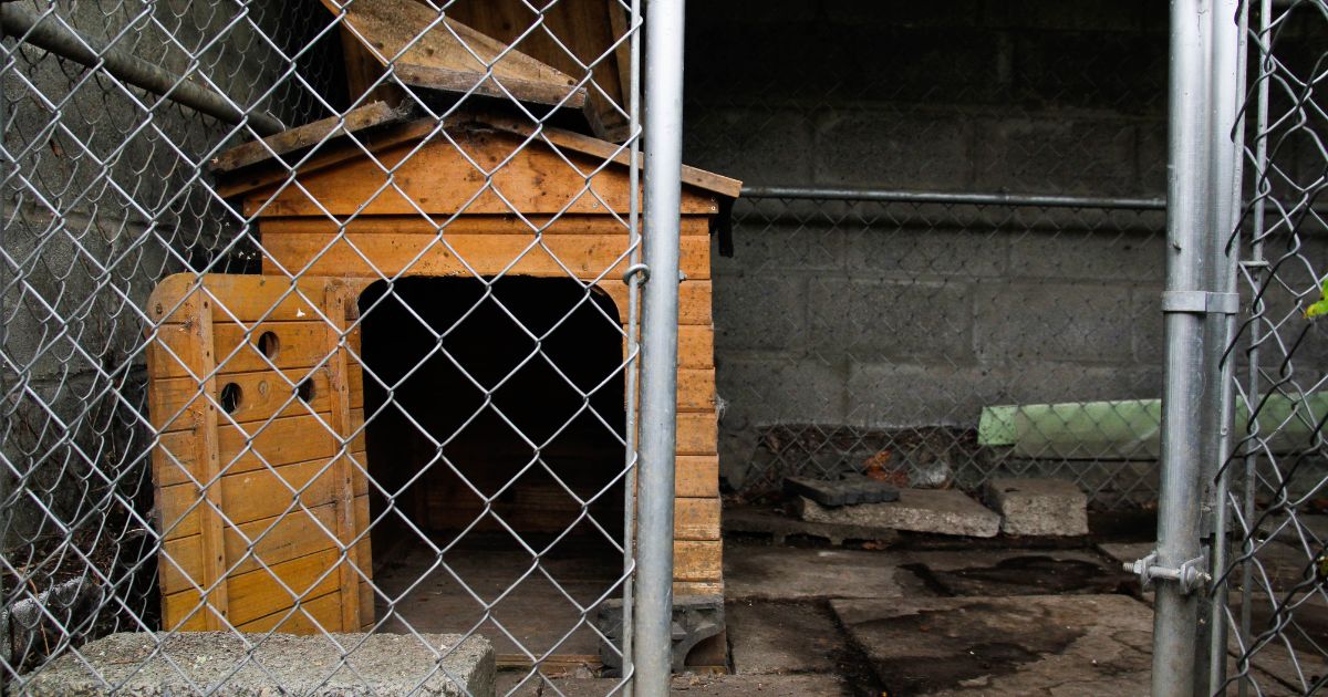 Police Horrified After Seeing What Was Inside Padlocked in Dog Kennel