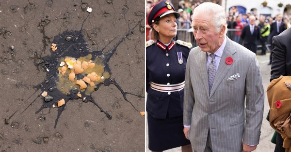 Watch: King Charles Gets Eggs Thrown at Him By Protester, Then Crowd Boos
