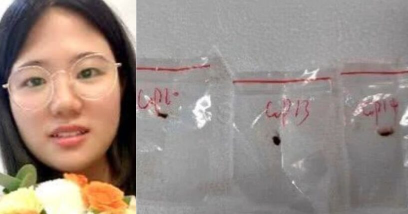 Senior Trump Official Reportedly Claims Fungus Smuggled by Chinese ...